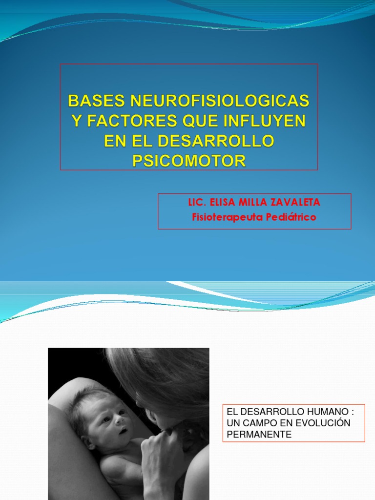 Bases Neurofisiologicas y Factores Que Influyen en El Desarrollo ...