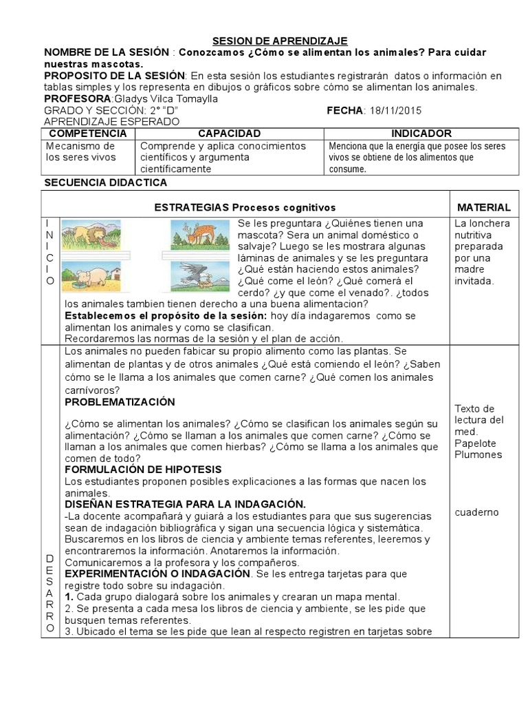 Alimentación de Animales para Niños | PDF | Aprendizaje | Maestros