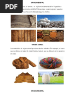 Qué Es La Teoría Autoctonista | PDF | Américas | Continente