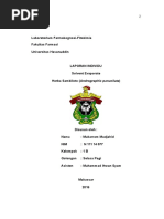 Pemekatan Ekstrak Dan Perhitungan Rendemen | PDF