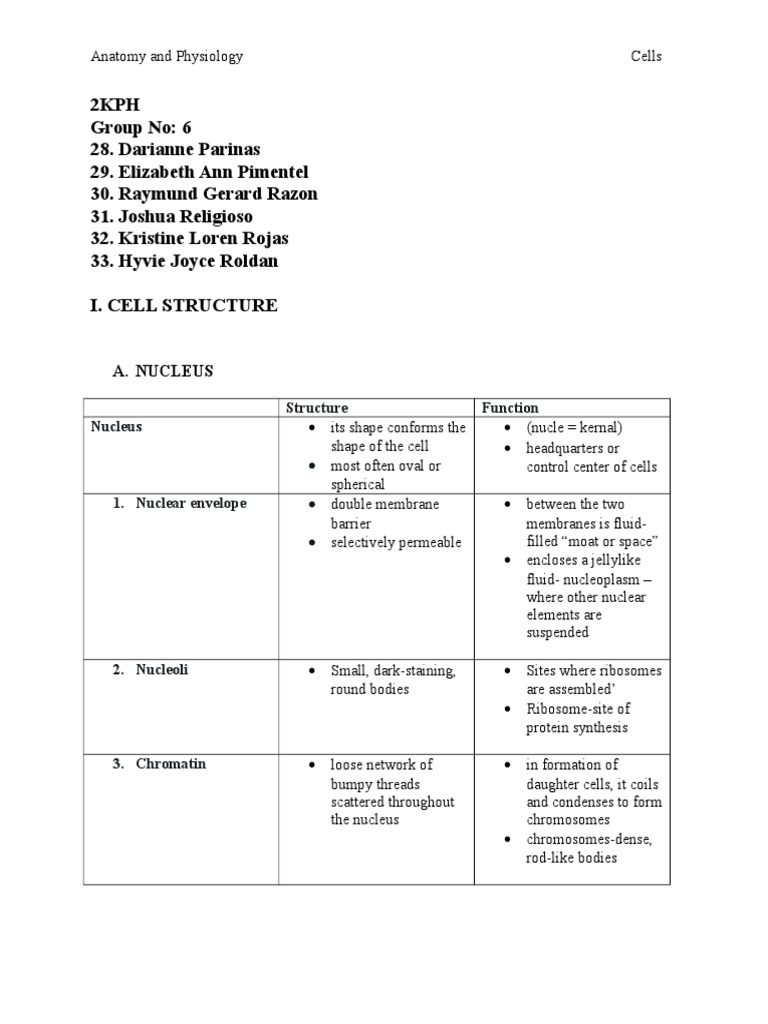 AnaPhy - Reviewer (Final) | PDF | Endoplasmic Reticulum | Mitosis