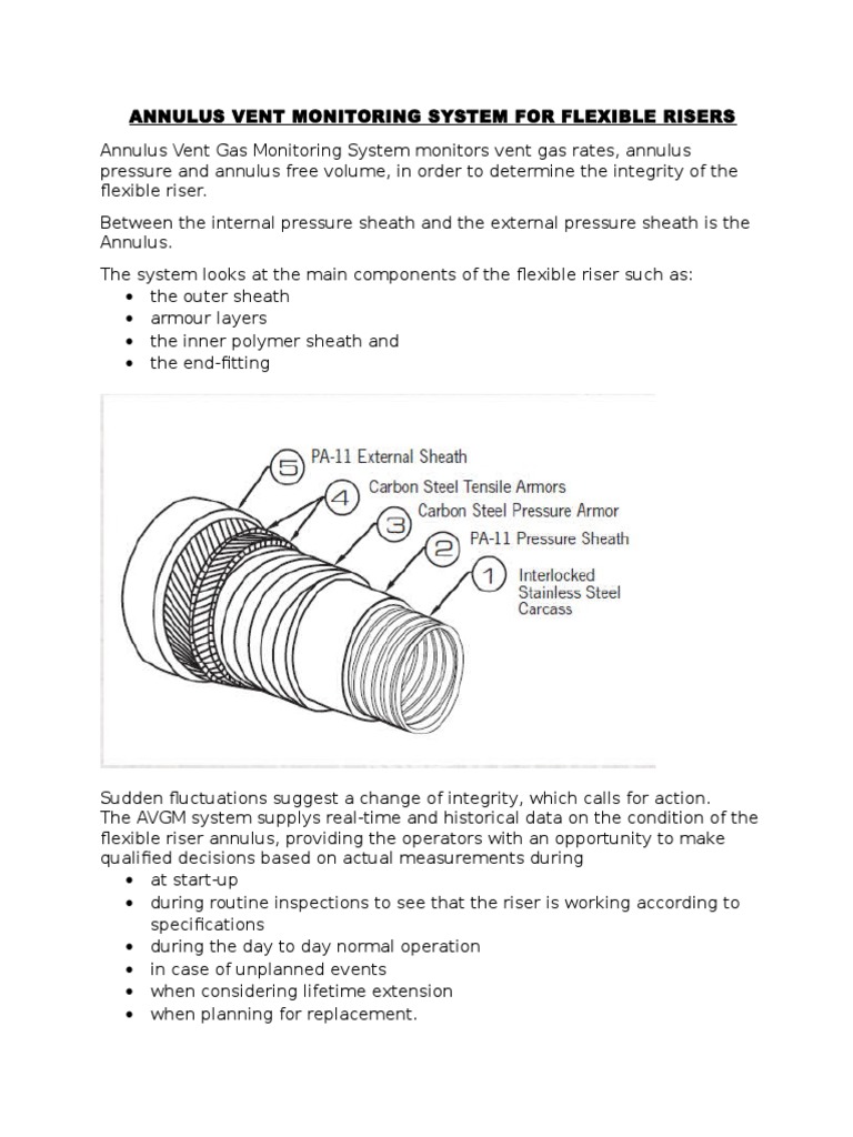 Annulus Vent Monitoring System for Flexible Risers | Gases