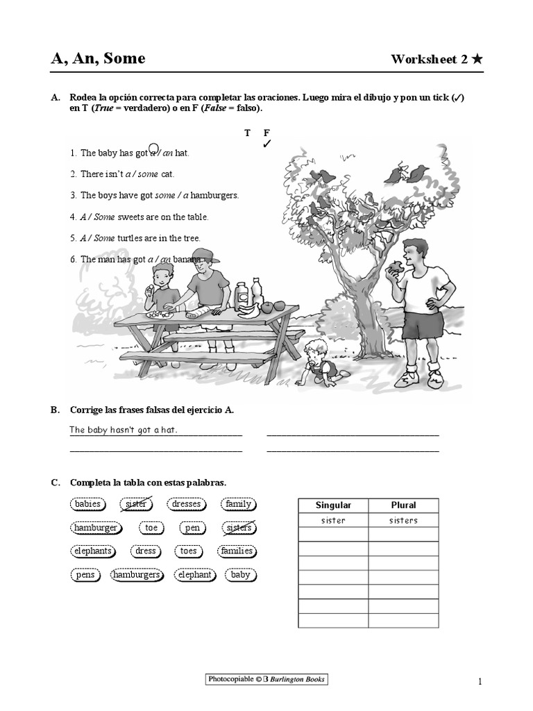 A, An, Some: Worksheet 2 | PDF