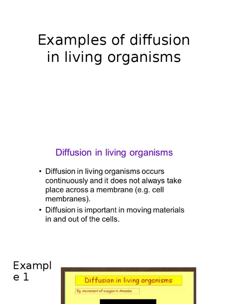 Diffusion in Organisms Explained | PDF | Science & Mathematics