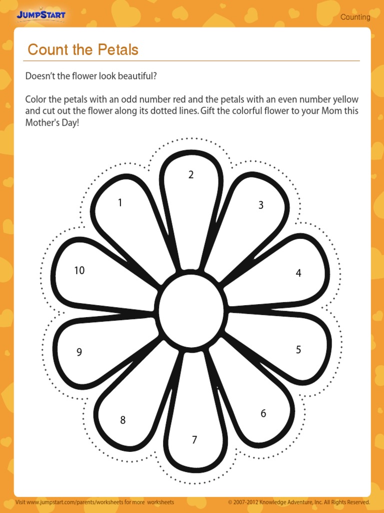 Count The Petals PDF | PDF