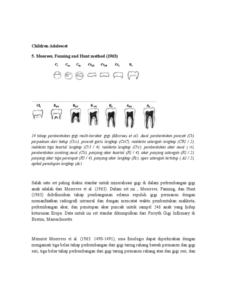 Moorees, Fanning and Hunt Method | PDF