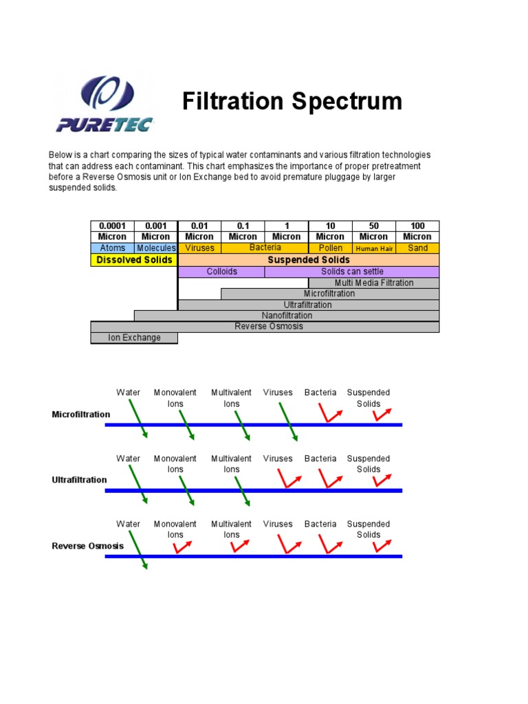 Filtration Spectrum | PDF