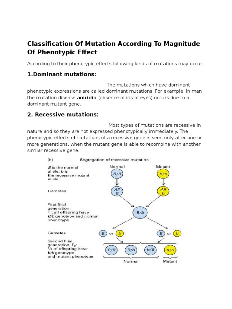 Classification of Mutation According To Magnitude of Phenotypic Effect ...