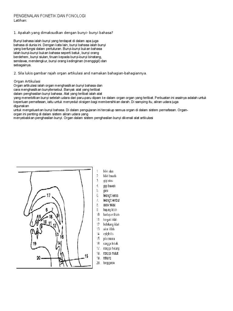 LATIHAN Fonologi | PDF