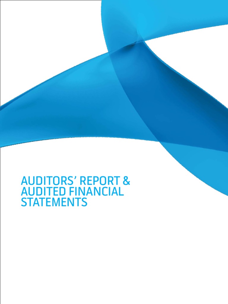 Auditors Report and Audited Financial Statements | Download Free PDF ...