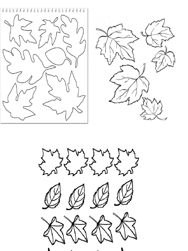 Frunze de Decupat | PDF