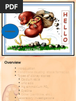 Uricol Effervescent Granules Patient Information Leaflet | PDF