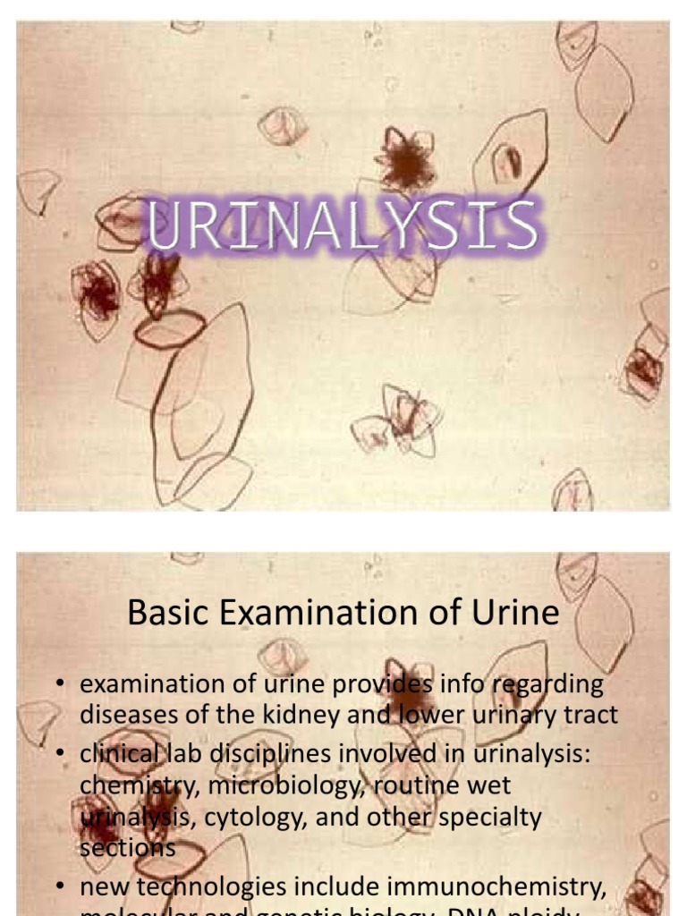 Urinalysis | Urine | Physical Examination