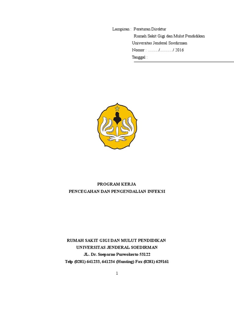 Program Kerja Ppi RSGMP | PDF