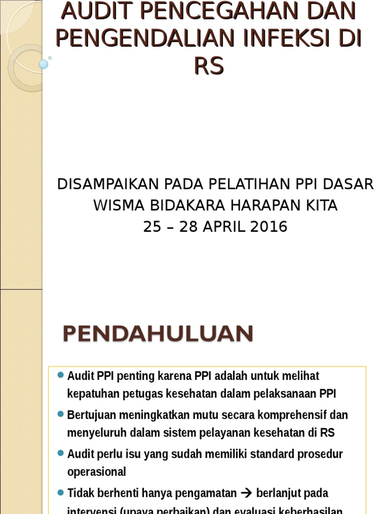 Audit Ppi Minarni - 2 | PDF
