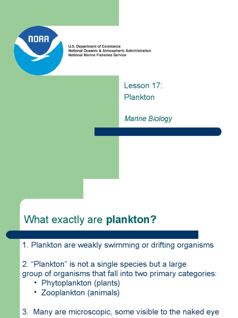 Lesson 17 Plankton | PDF | Plankton | Primary Production