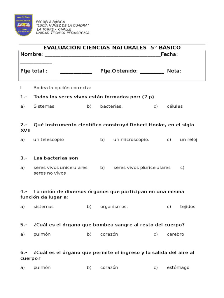 Prueba Ciencias Naturales 5° Basico Niveles de Organización de Los ...