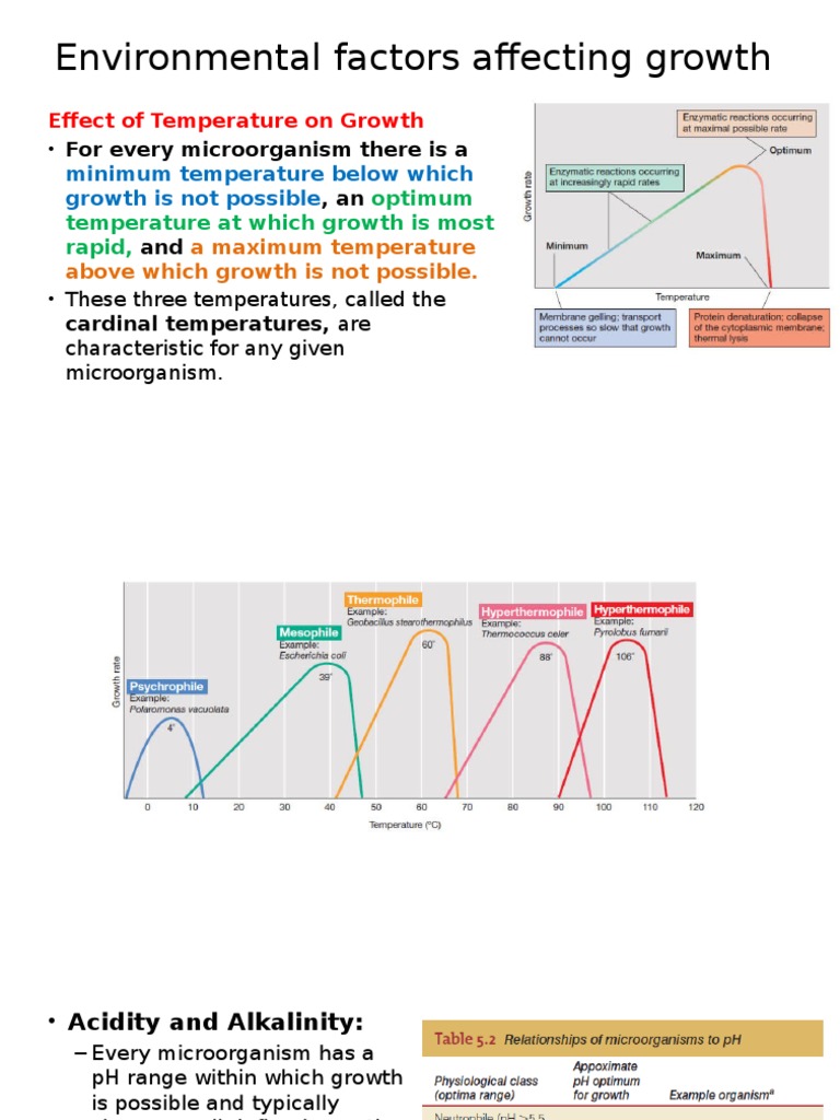 Microbiology Environmental Factors Affecting Growth | PDF