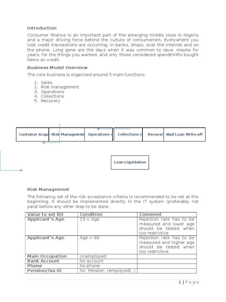 Business Model - Consumer Finance | PDF | Debt | Credit Card