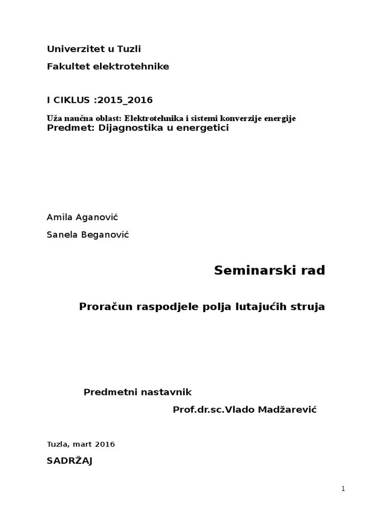 Seminarski Rad Aganović Amila Beganović Sanela | PDF
