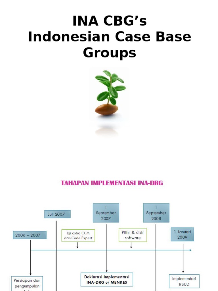 Ina CBG'S Indonesian Case Base Groups | PDF