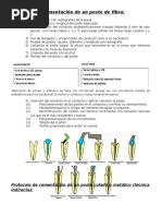 Protocolo de Protesis Total | PDF | Dentadura postiza | Boca