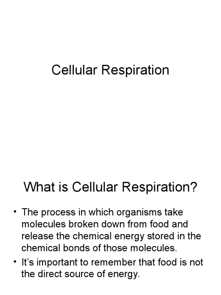 Cellular Respiration Explained: ATP Production Through Glycolysis ...