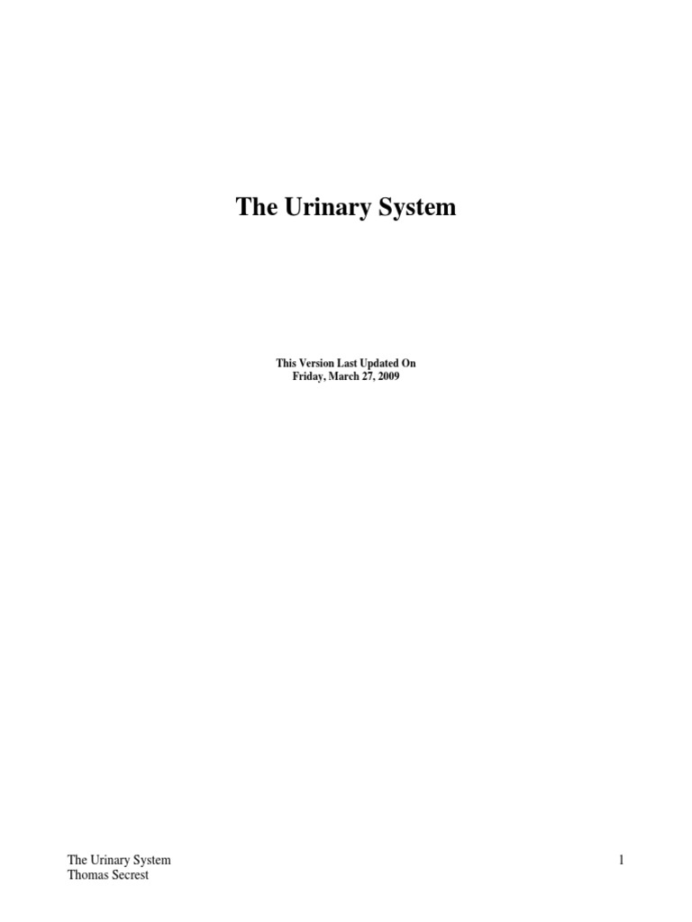 Microsoft Word - The Urinary System | PDF | Urinary System | Prostate