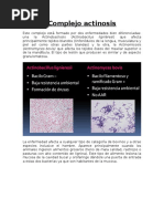 DELTISONA B 4 40mg Prospecto Paciente | PDF | Alergia | Asma