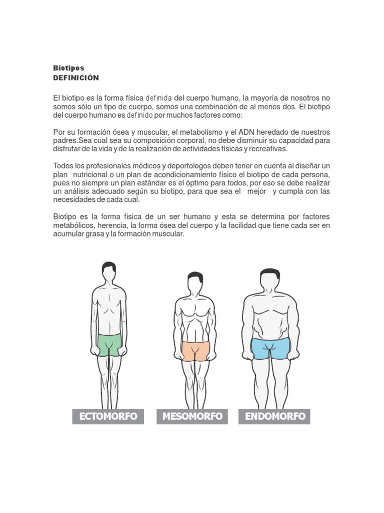 Biotipos | PDF | Dieta | Músculo