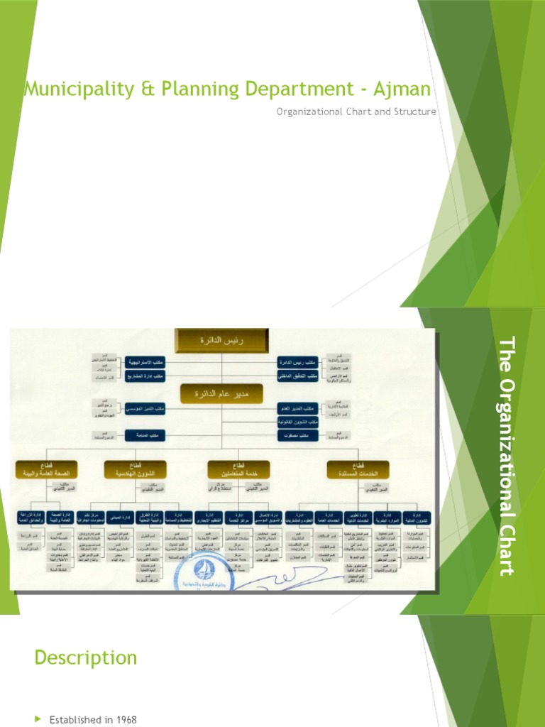Ajman Municipality Organizational Structure | PDF