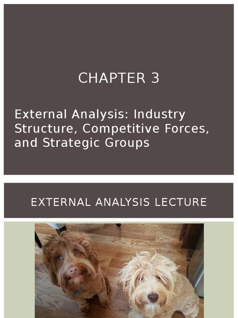 Chapter 3a - Industry - Final | PDF | Strategic Management | Supply Chain