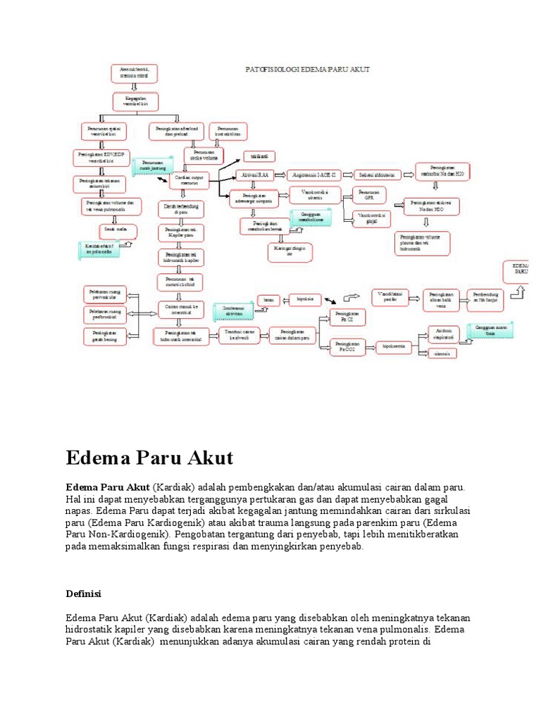 Edema Paru Akut | PDF