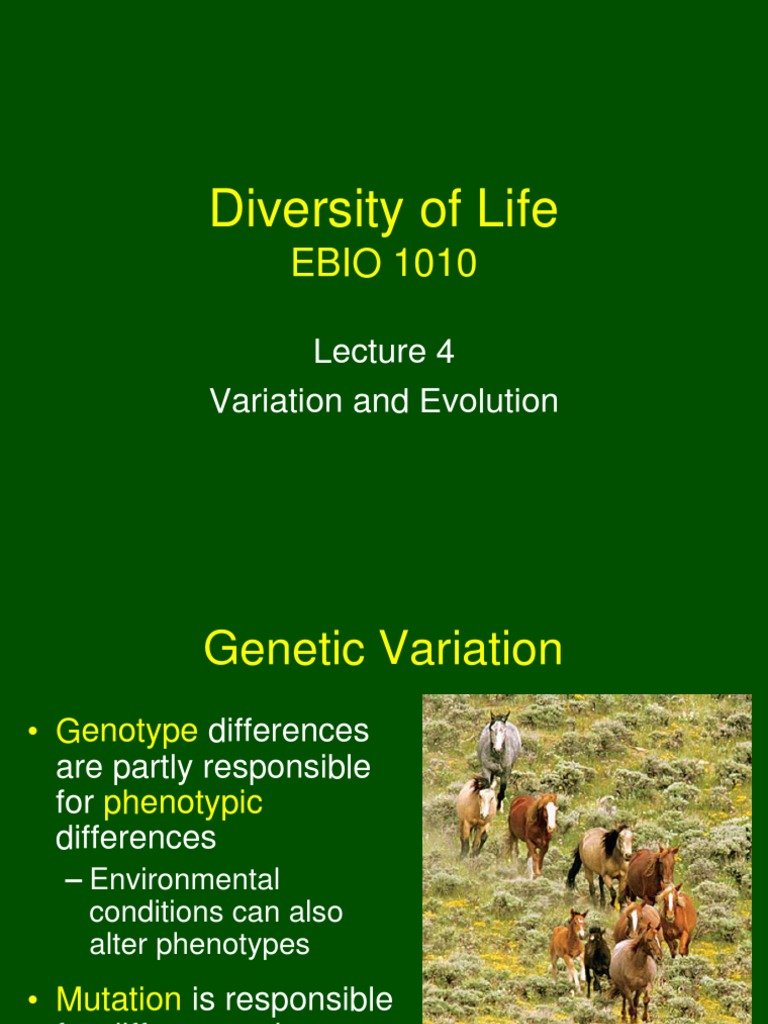 Lecture 4 - Variation & Evolution | PDF | Mutation | Point Mutation