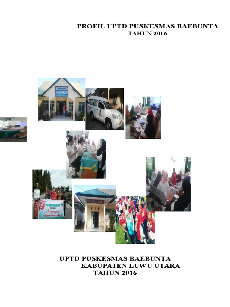 Profil Uptd Puskesmas Baebunta | PDF