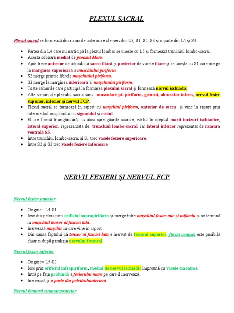 Plexul Sacral | PDF