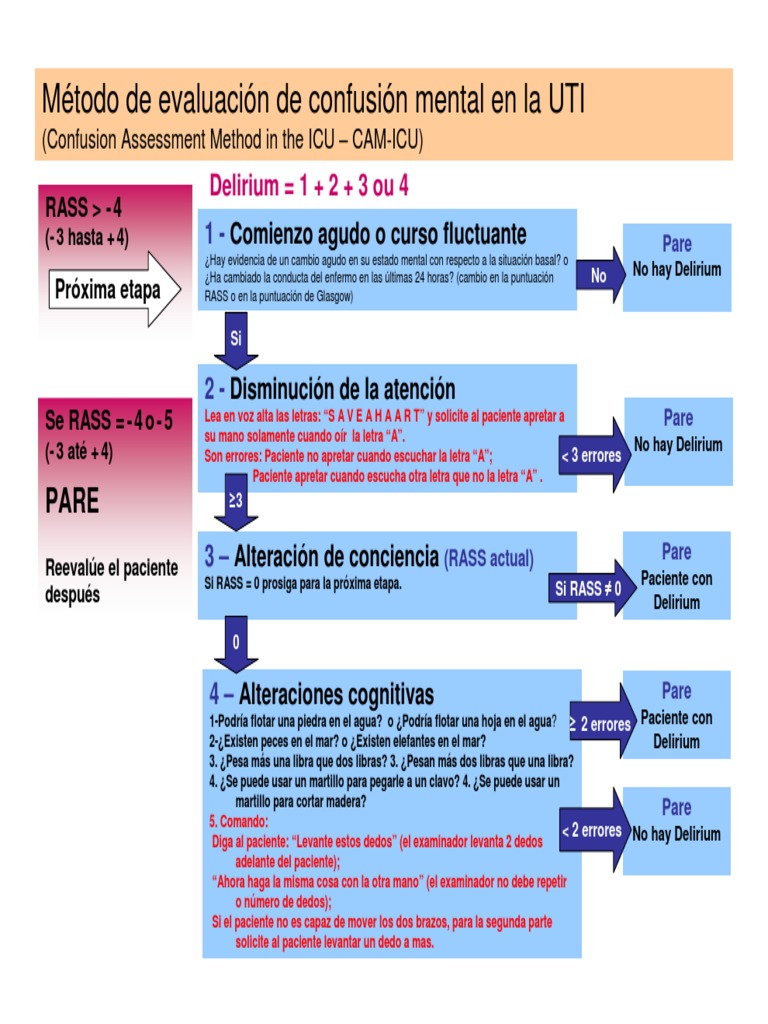 CAM ICU Flowsheet Spanish