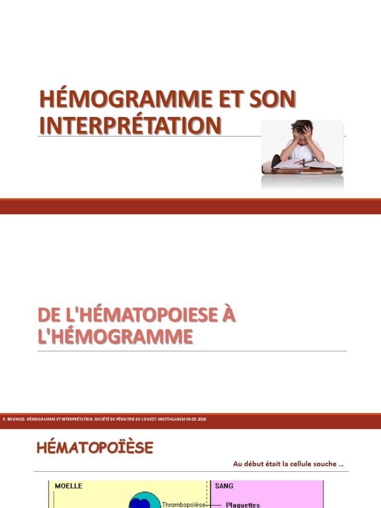 Hémogramme Et Son Interprétation | Descargar gratis PDF | Hématopoïèse ...