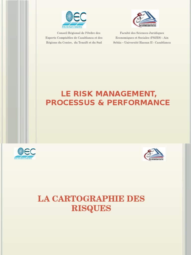 Management Des Risques | PDF | Gestion des risques | Risque