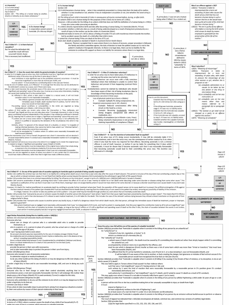 Homicide Flowchart | PDF