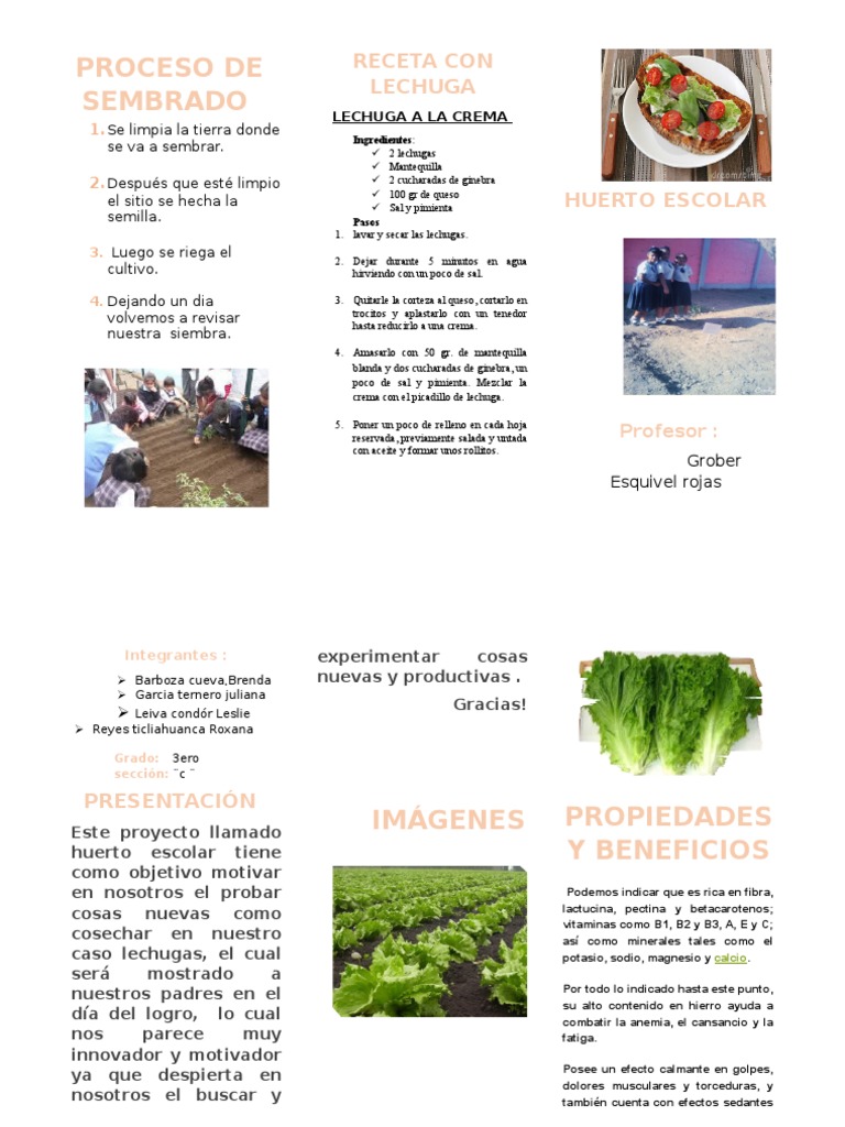 Huerto Triptico | PDF