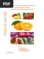 Morfología de Frutos: Silicua y Cipsela | PDF | Fruta | Morfología Vegetal