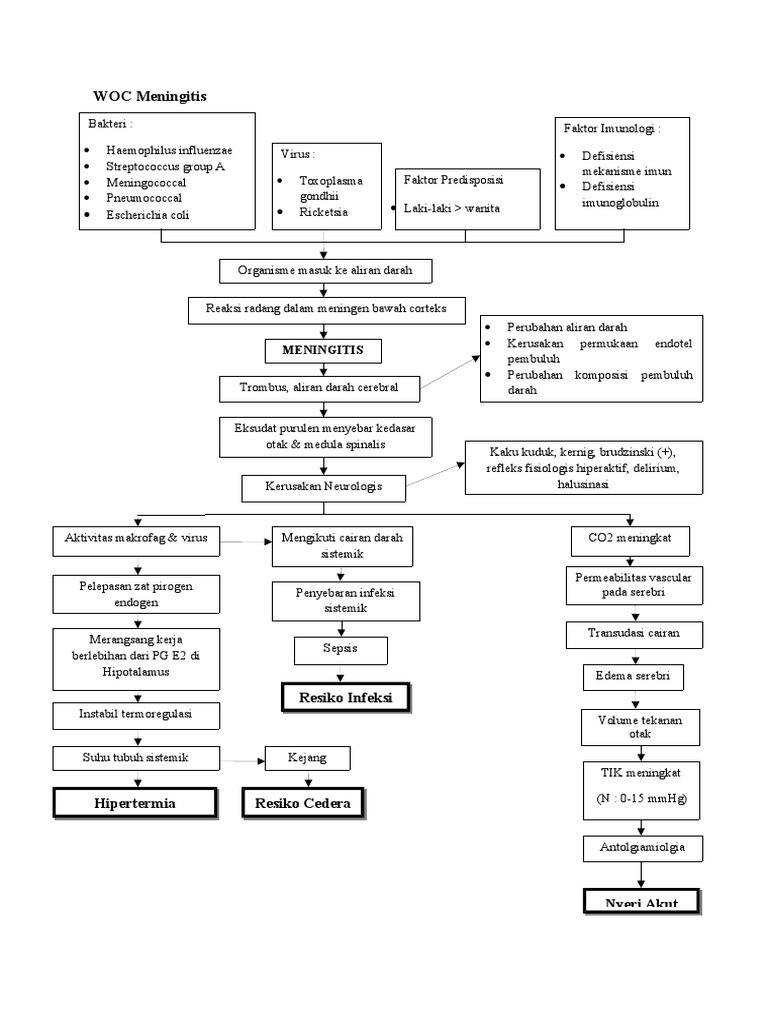 WOC Meningitis | PDF