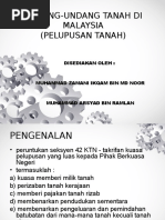 Kanun Tanah Negara 1965 | PDF