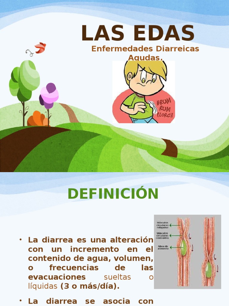Prevención y Tratamiento de Diarrea Infantil | PDF | Diarrea ...