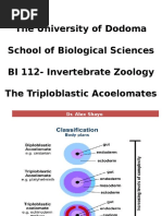 1687761495.6. Type of Cercariae With Examples | PDF | Zoology