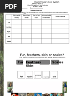 Classification Jeopardy Review | PDF | Scientific Classification | Nature
