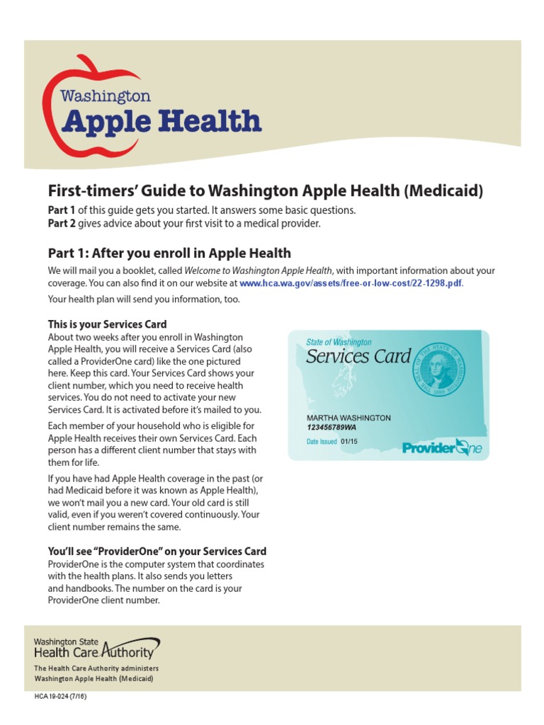 19 024 | PDF | Fee For Service | Medicaid