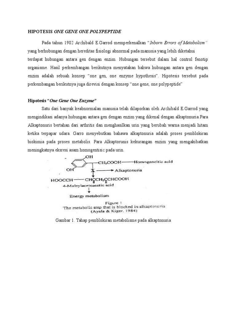 Hipotesis One Gene One Polypeptide | PDF