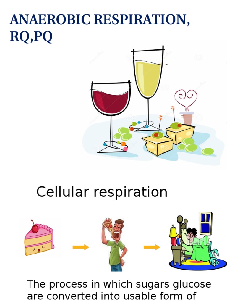 Anaerobic Respiration | PDF
